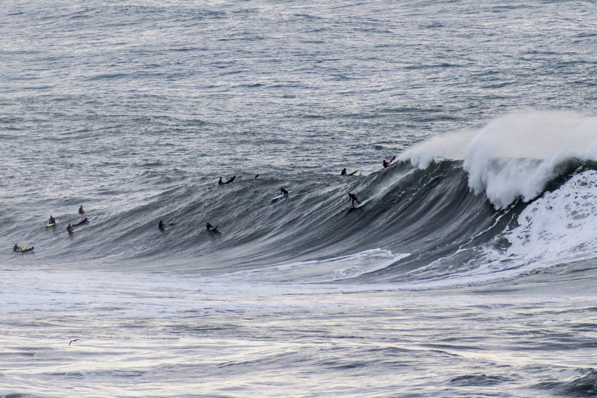 The Ultimate Guide to Surfing Mavericks: A King of Big Wave Surfing ...