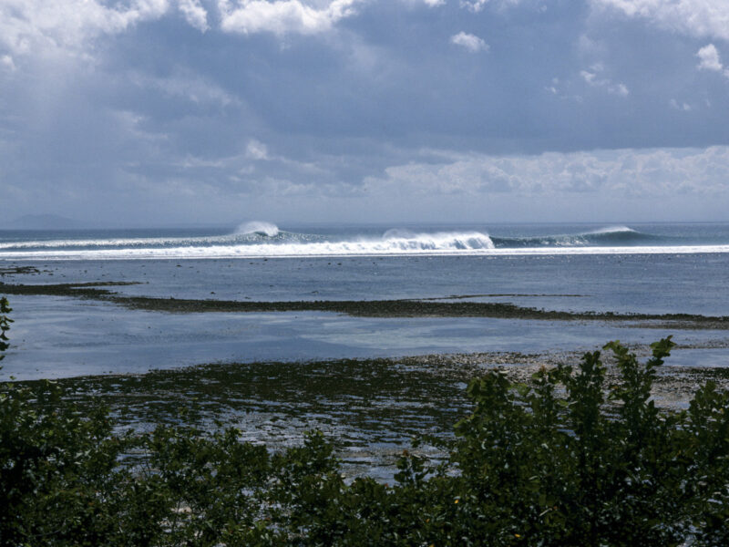 The Ultimate Guide to Surfing Mavericks: A King of Big Wave Surfing ...
