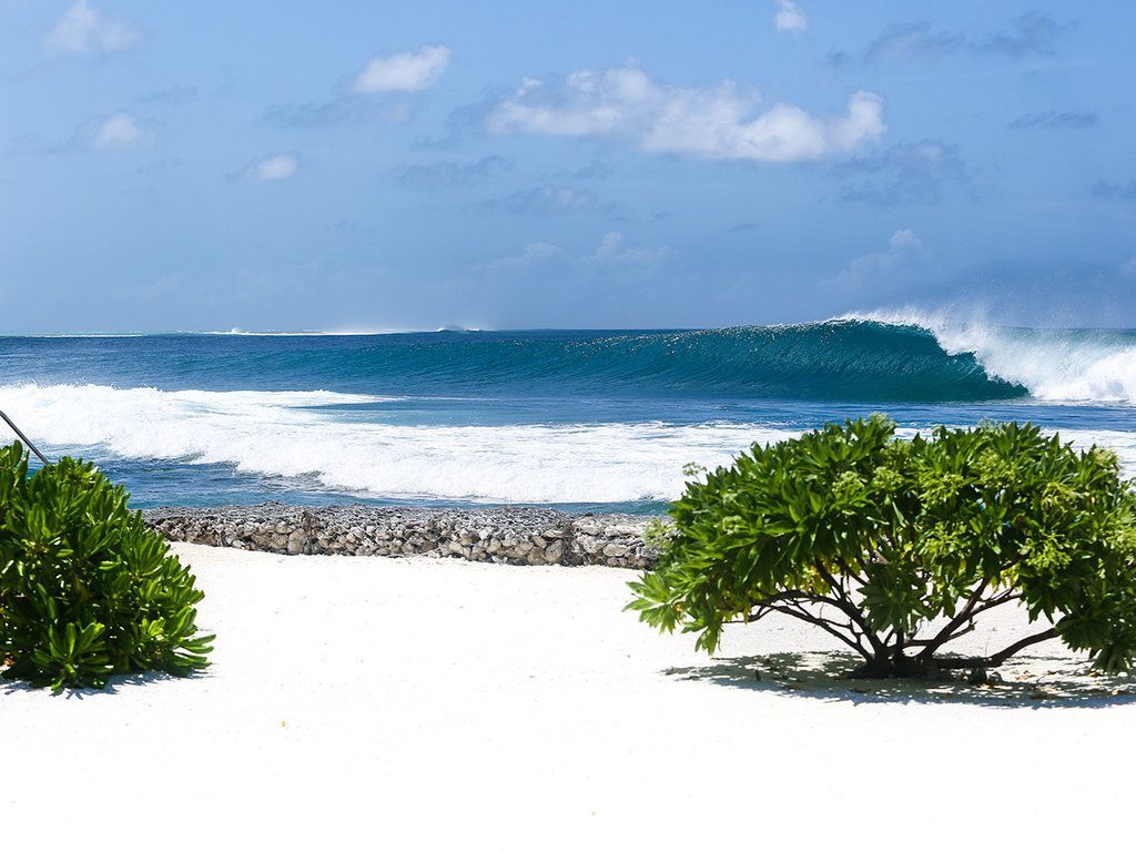 Surf Kandooma Right, Surf Holidays & Vacations | Yeeew!