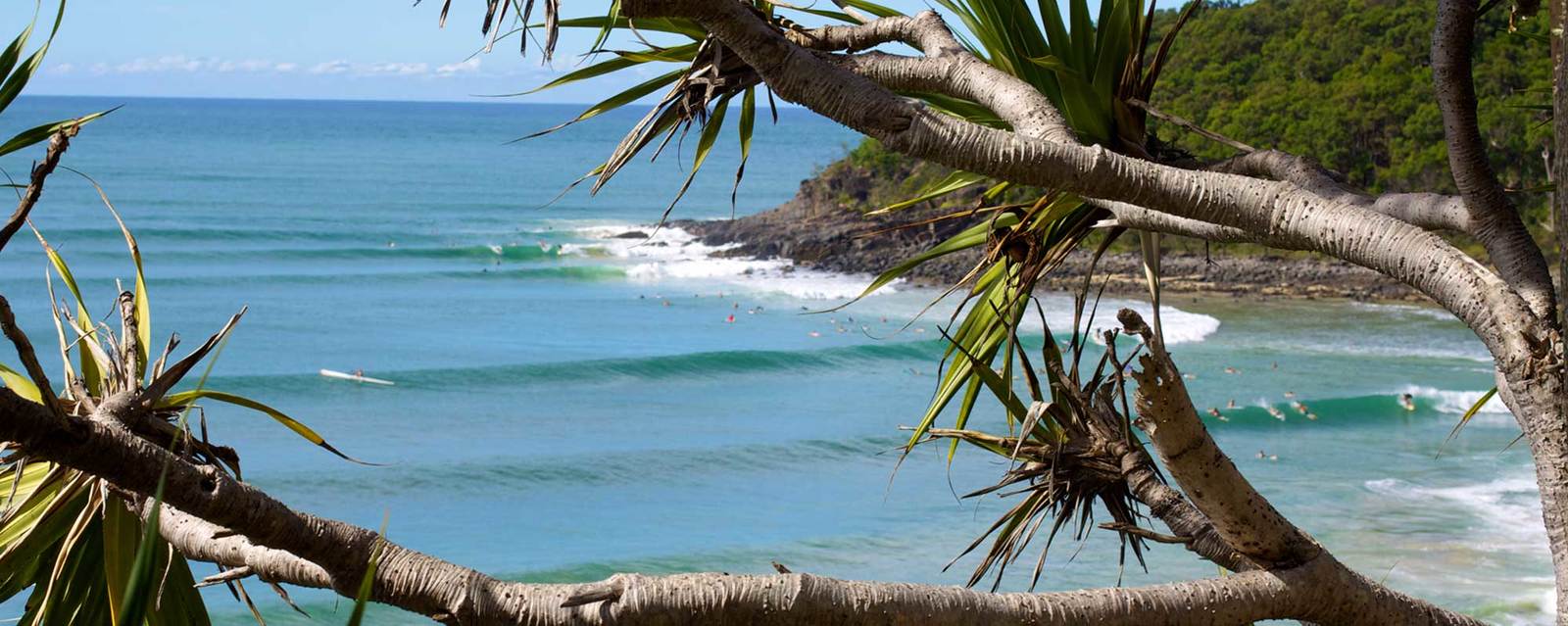 Tea Tree (Noosa) Surf Report & 7 Day Surf Forecast - Yeeew!